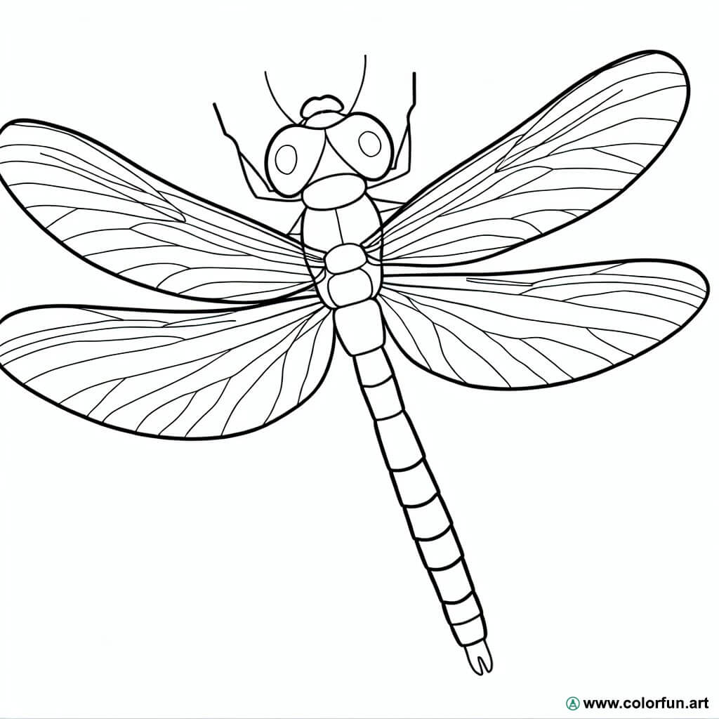 Kleurplaat van een libelle, een dier. Gratis te downloaden of af te drukken